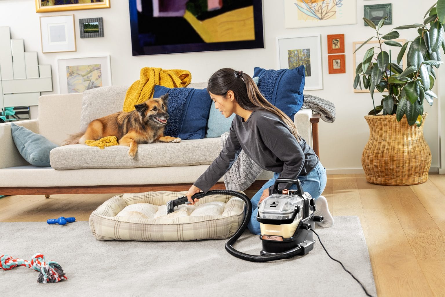 Australia's Vacuum Cleaner Specialists | ABCD Clean